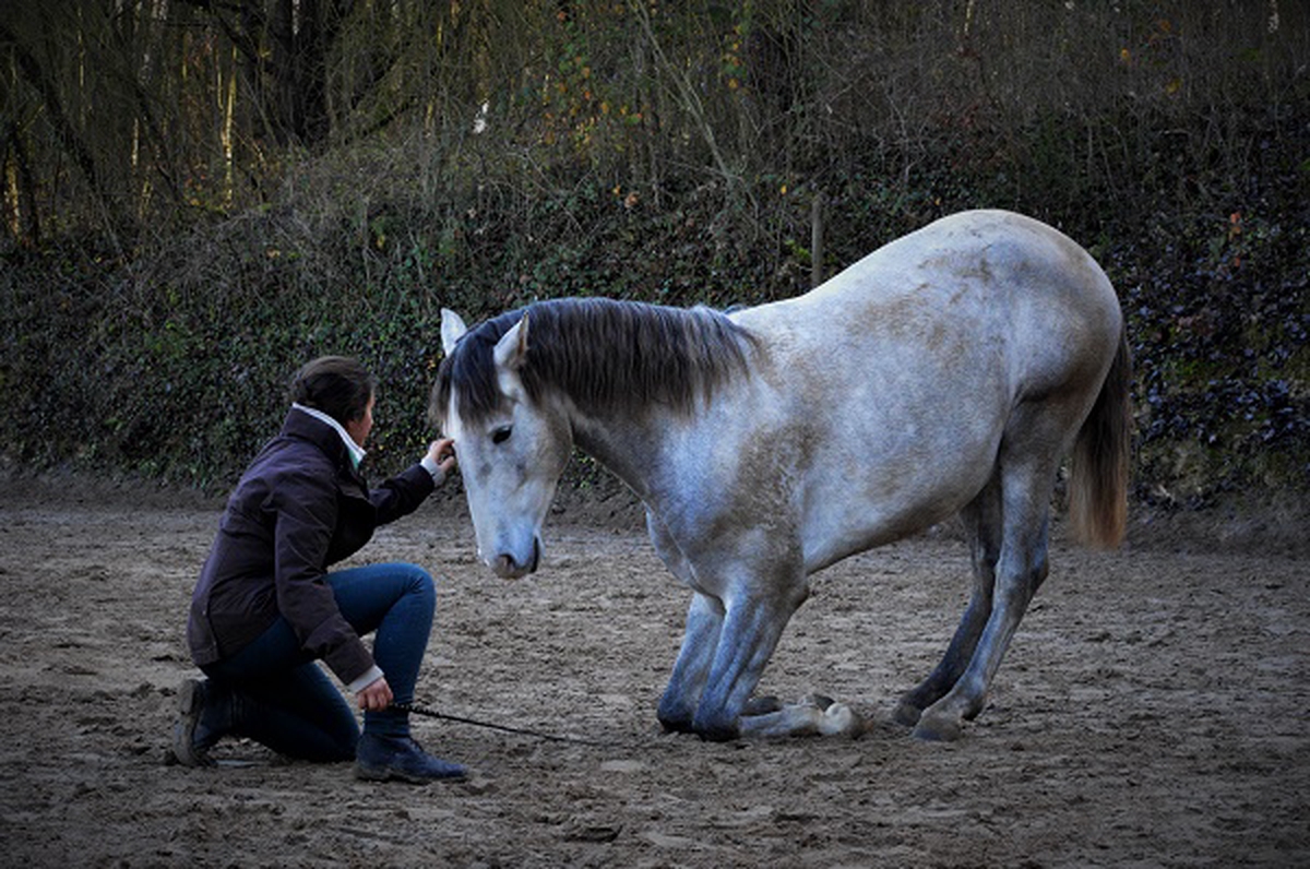Soutenir Manon Comparini, Artiste Cavalière Violoniste et Coach - Okpal