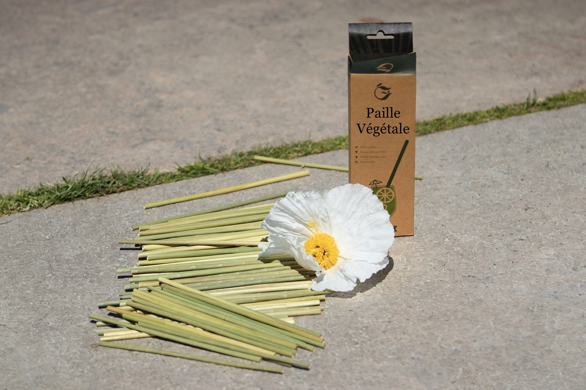 1ère Paille Végétale 100% Biodégradable - Okpal